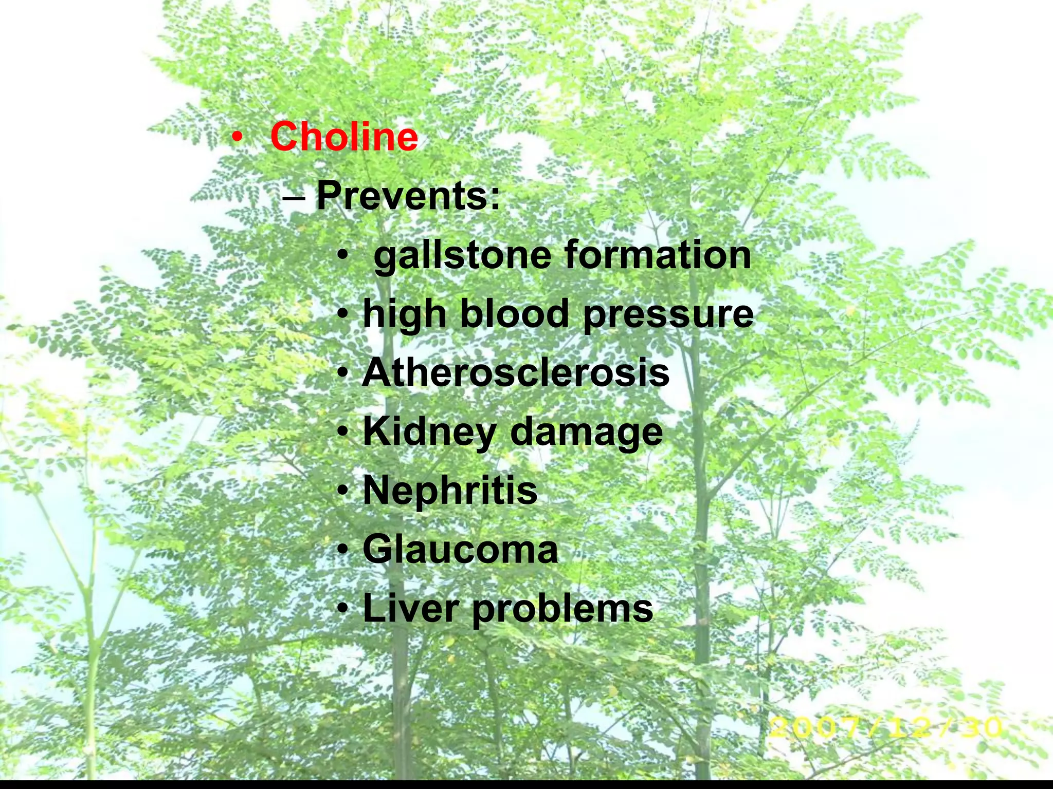 Developing Products from Moringa | PDF