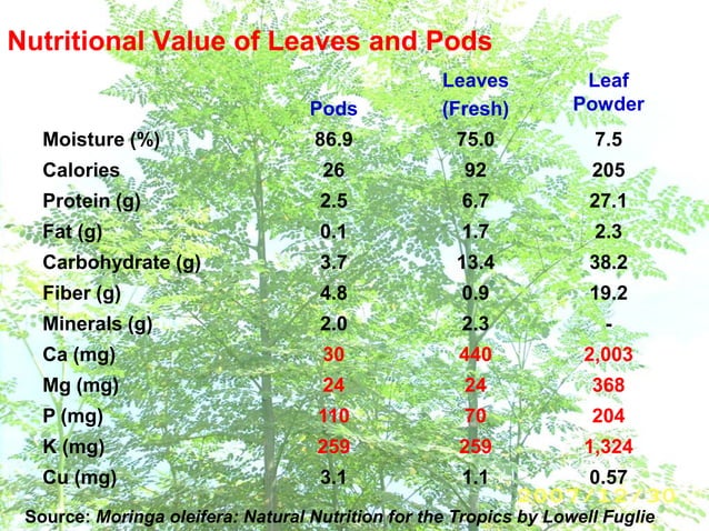 Developing Products from Moringa | PDF | Nutrition | Healthy Living