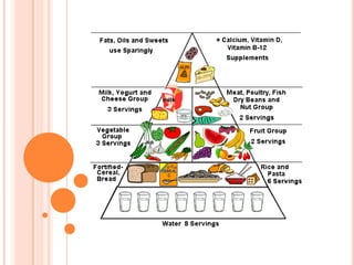 Food pyramid | PPTX