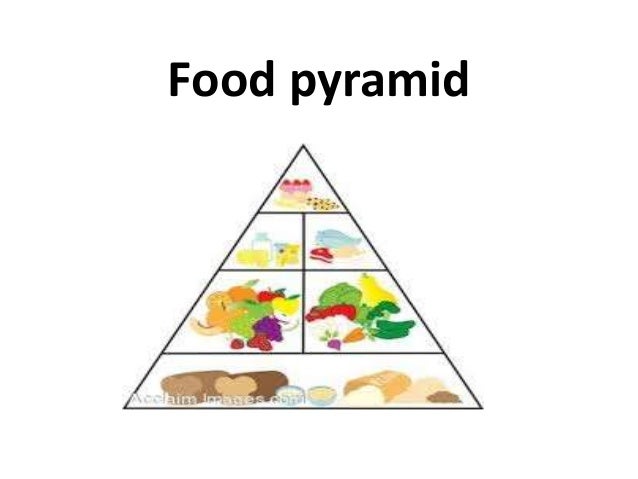 Food pyramid wiki