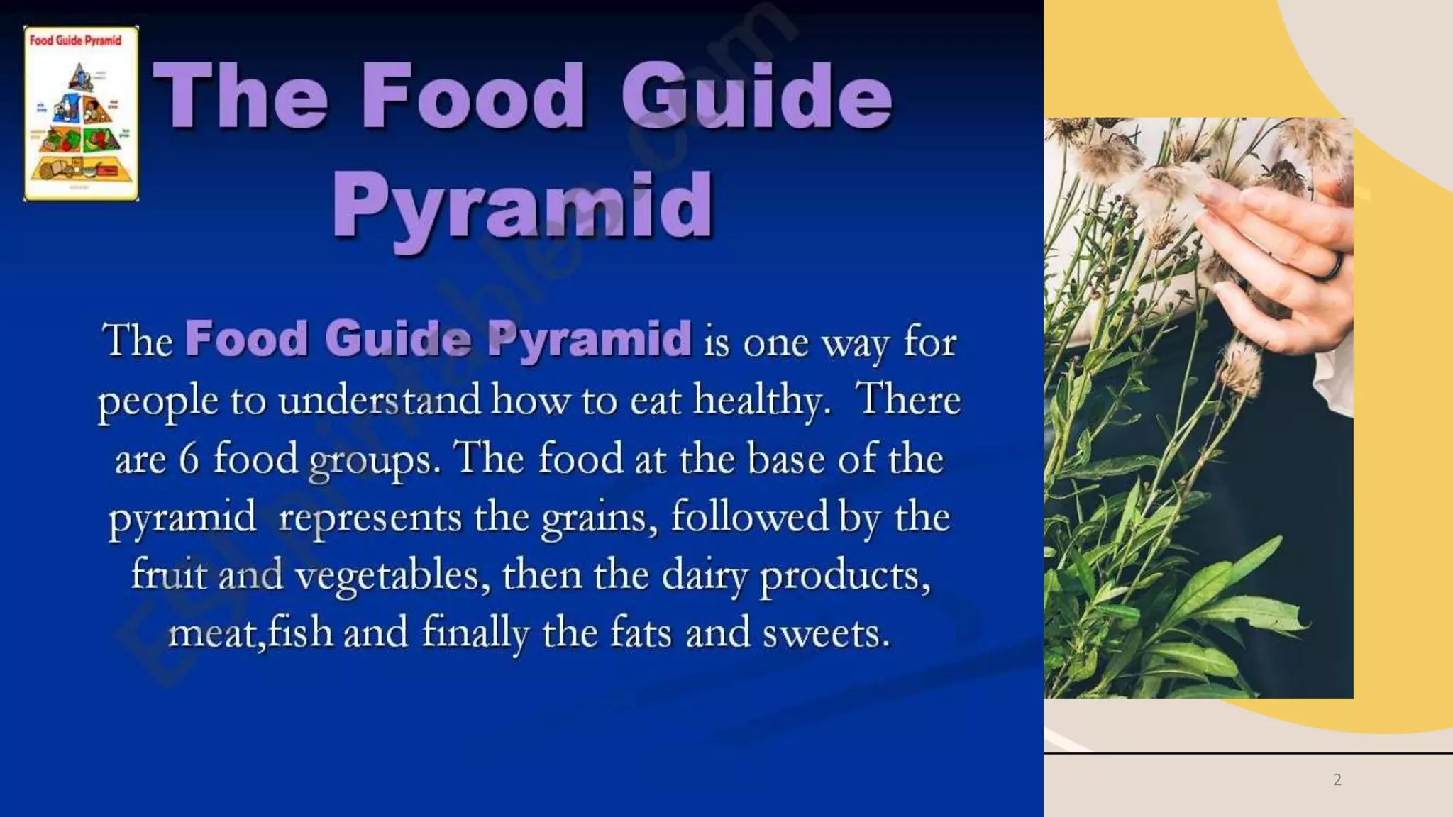 Food Pyramid Guide.pptx