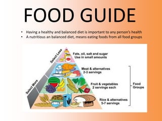 Food pyramid presentation | PPTX