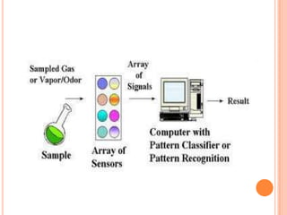 Food quality parameters | PPTX
