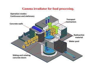 Food radiation | PPTX