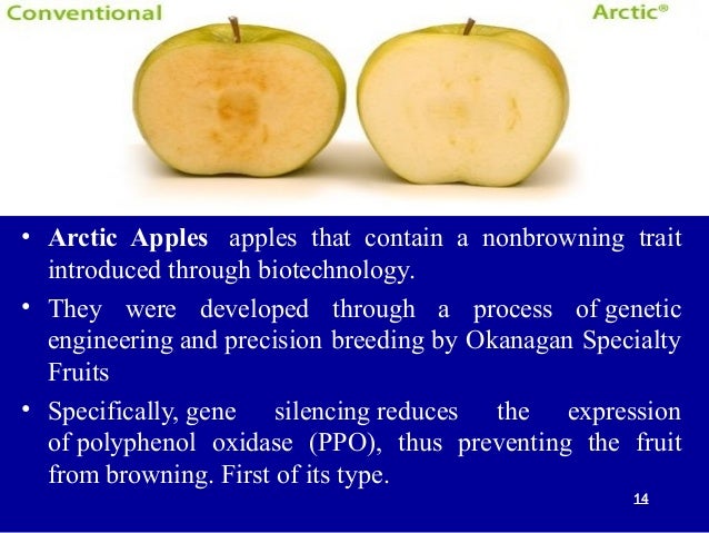 Food Spoilage Due to enzymes