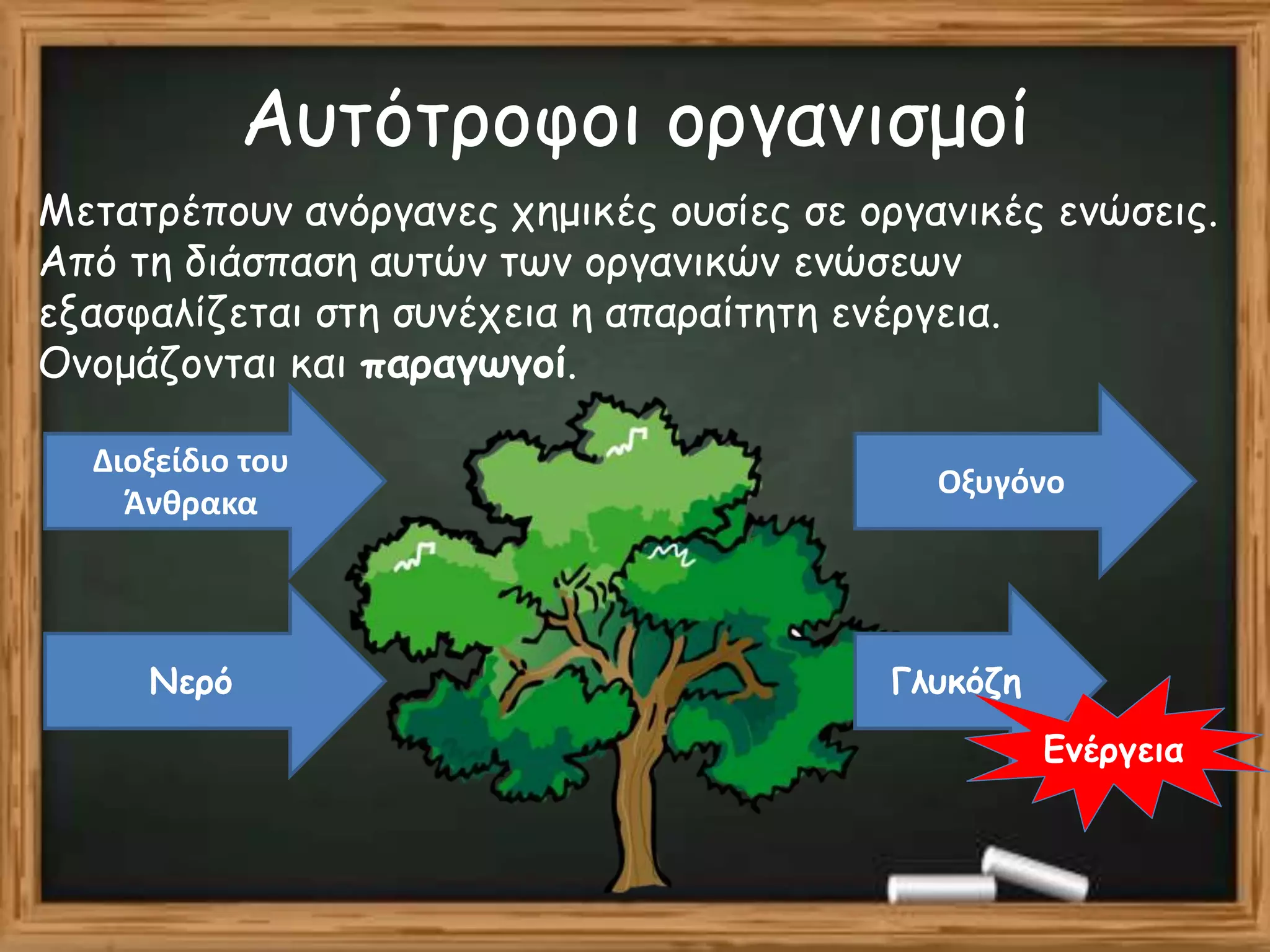 Food relationships | PPTX