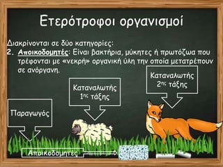 Food relationships | PPTX