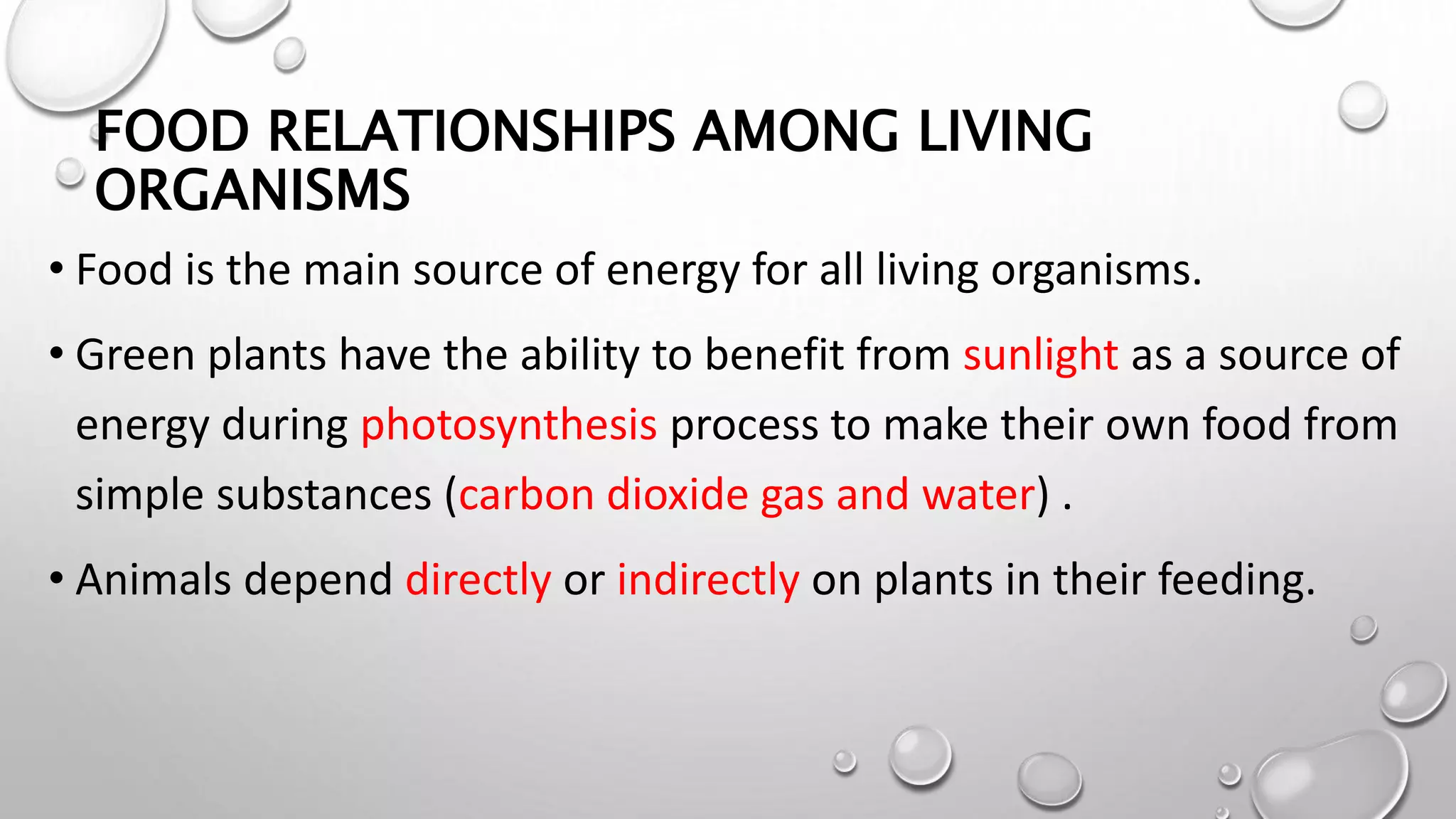 Food relationships among living organisms | PPT