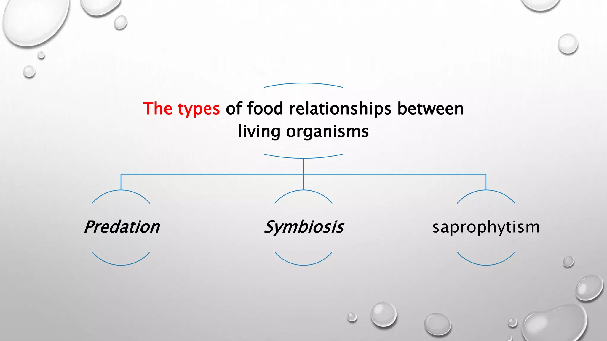 Food relationships among living organisms | PPT