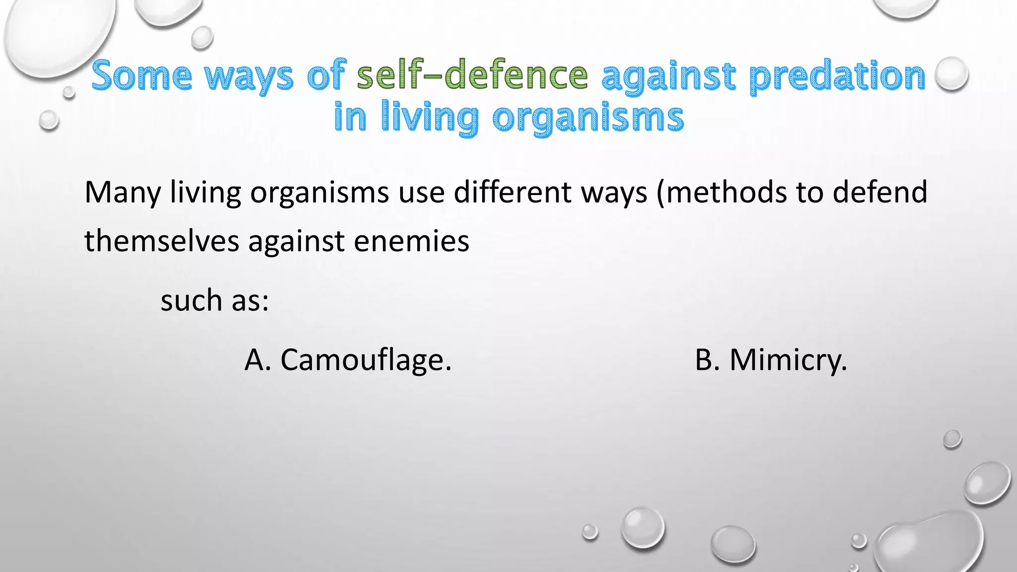 Food relationships among living organisms | PPT