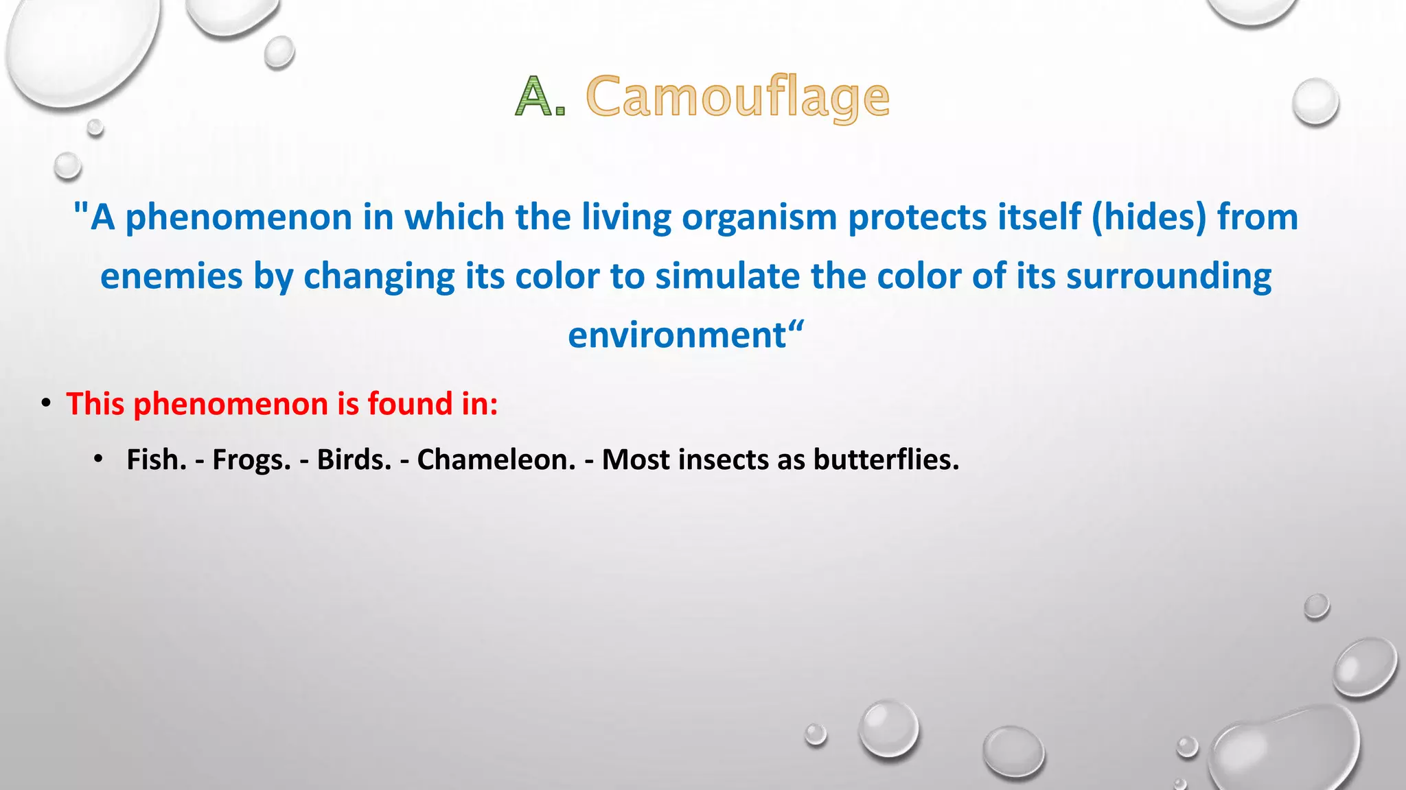 Food relationships among living organisms | PPT