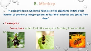 Food relationships among living organisms | PPT