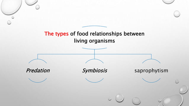 Food relationships among living organisms | PPT