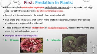 Food relationships among living organisms | PPTX