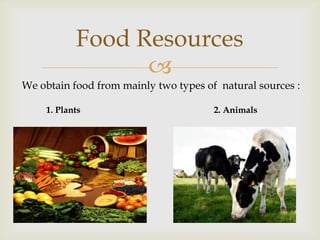 Food resources | PPTX