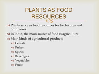Food resources | PPTX