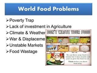 Food resources | PPTX