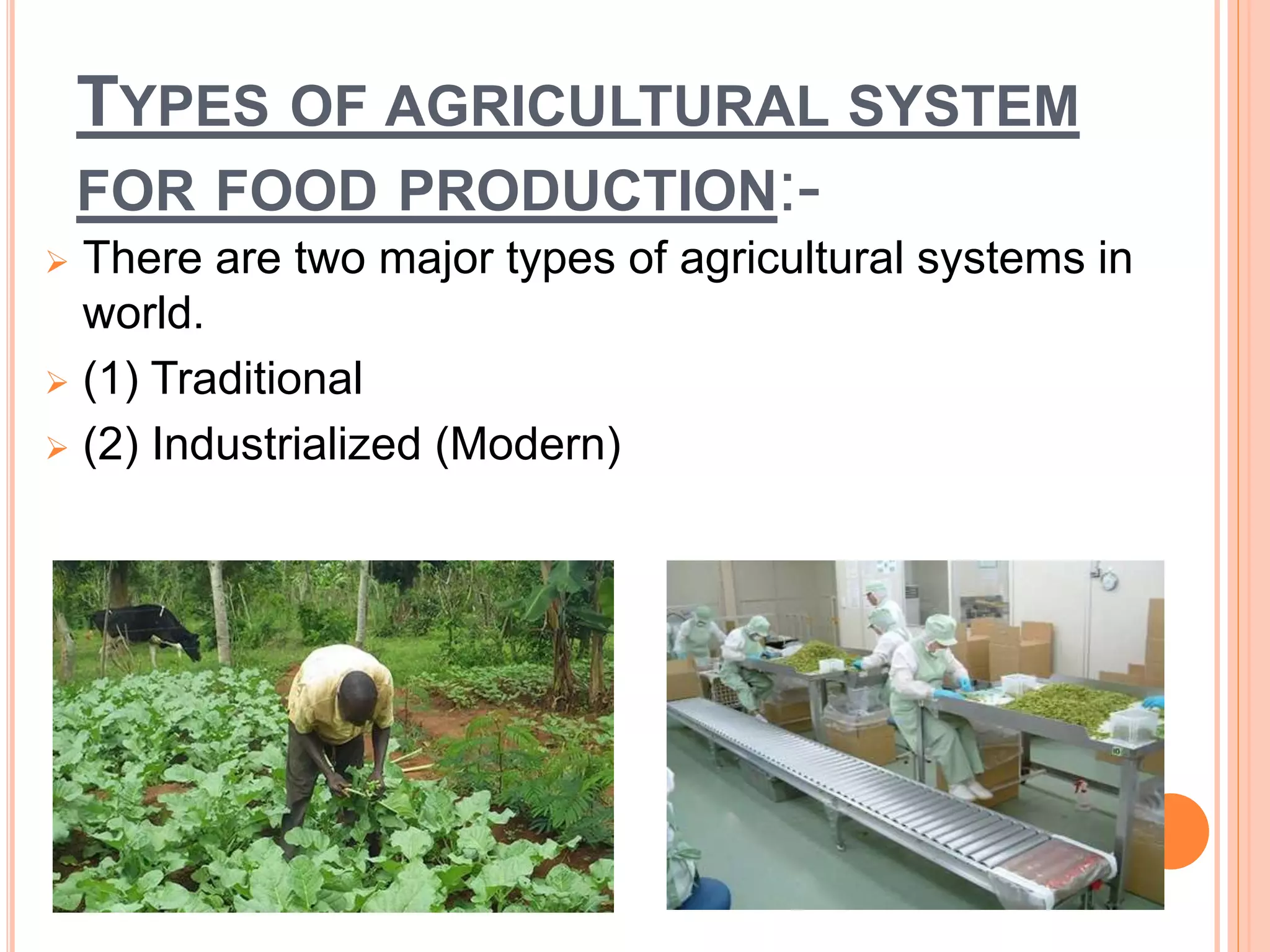 Food resources | PPTX