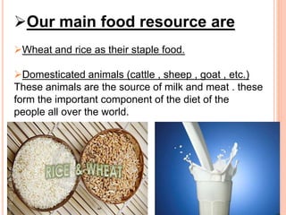 Food resources | PPTX