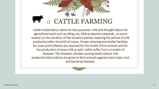 FOOD RESOURCES | PPTX