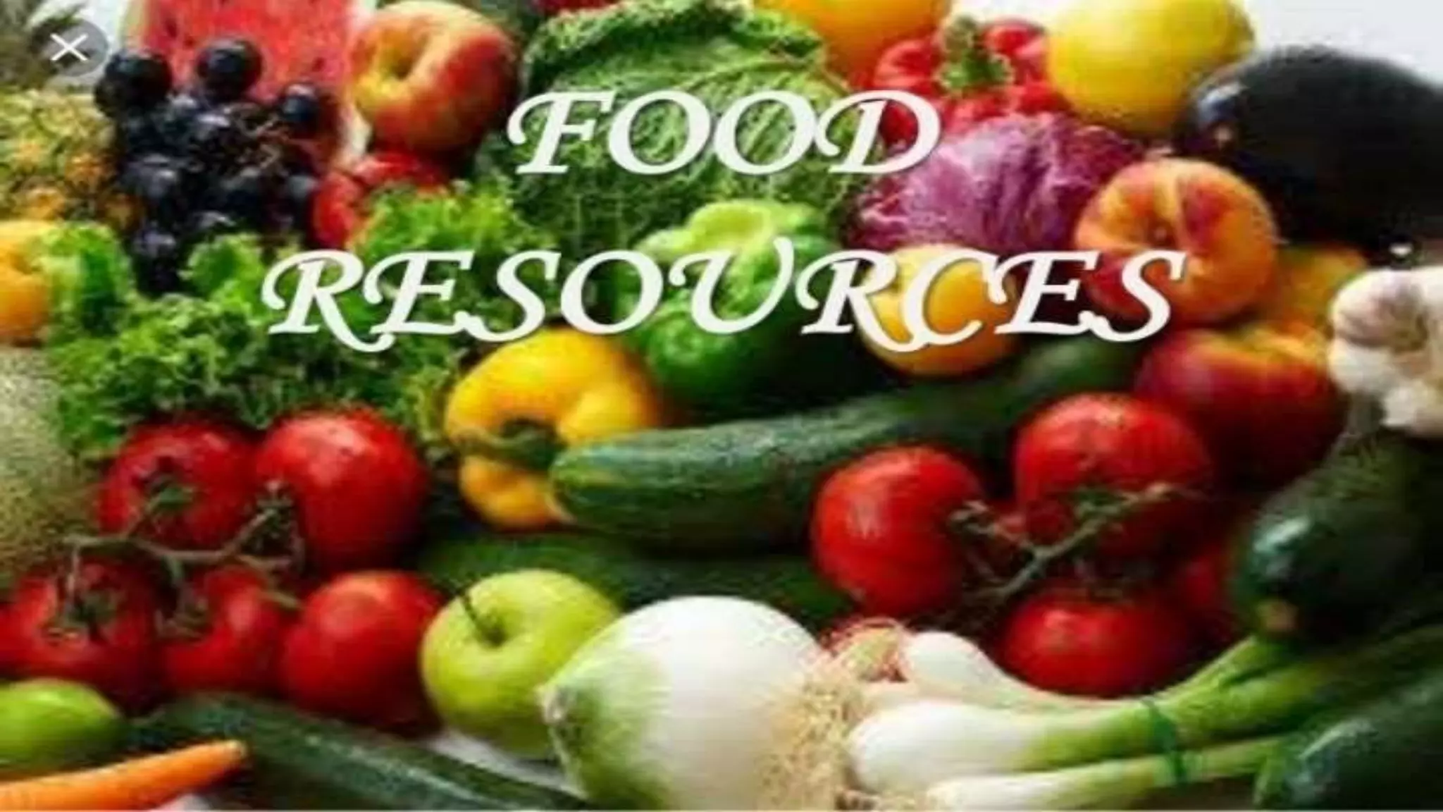 Food resources ppt | PPTX