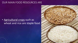 Food resources ppt | PPTX