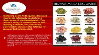 Foods fermented | PPT