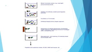 Food safety ( Basic steps in detection of food borne pathogens ) | PPTX