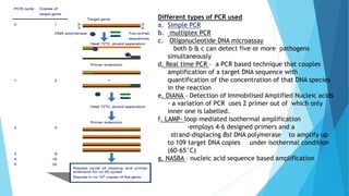 Food safety ( Basic steps in detection of food borne pathogens ) | PPTX