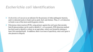 Food safety ( Basic steps in detection of food borne pathogens ) | PPTX