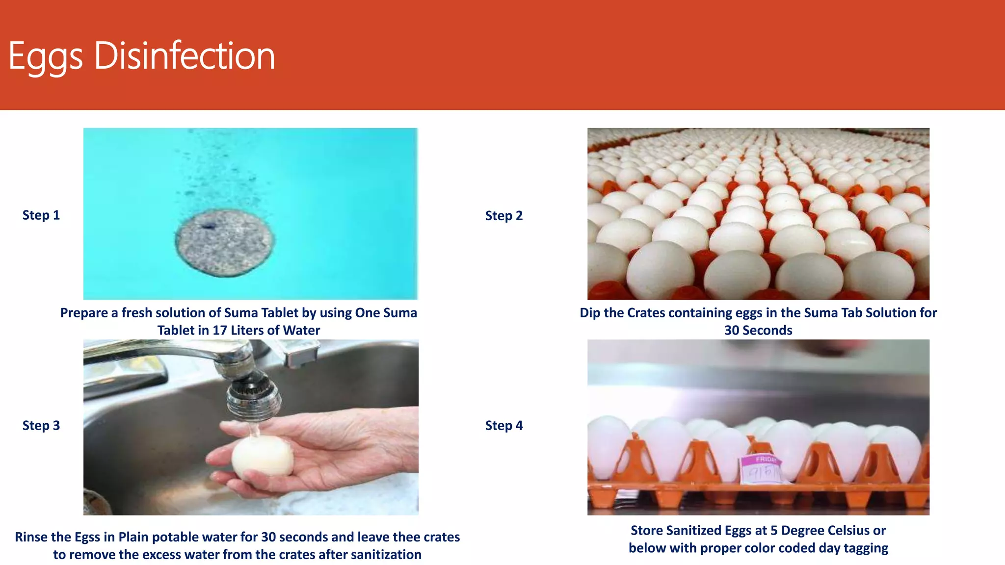 Food Safety Practices - Cleaning & sanitization fruits, vegetables ...