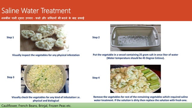 Food Safety Practices - Cleaning & sanitization fruits, vegetables ...
