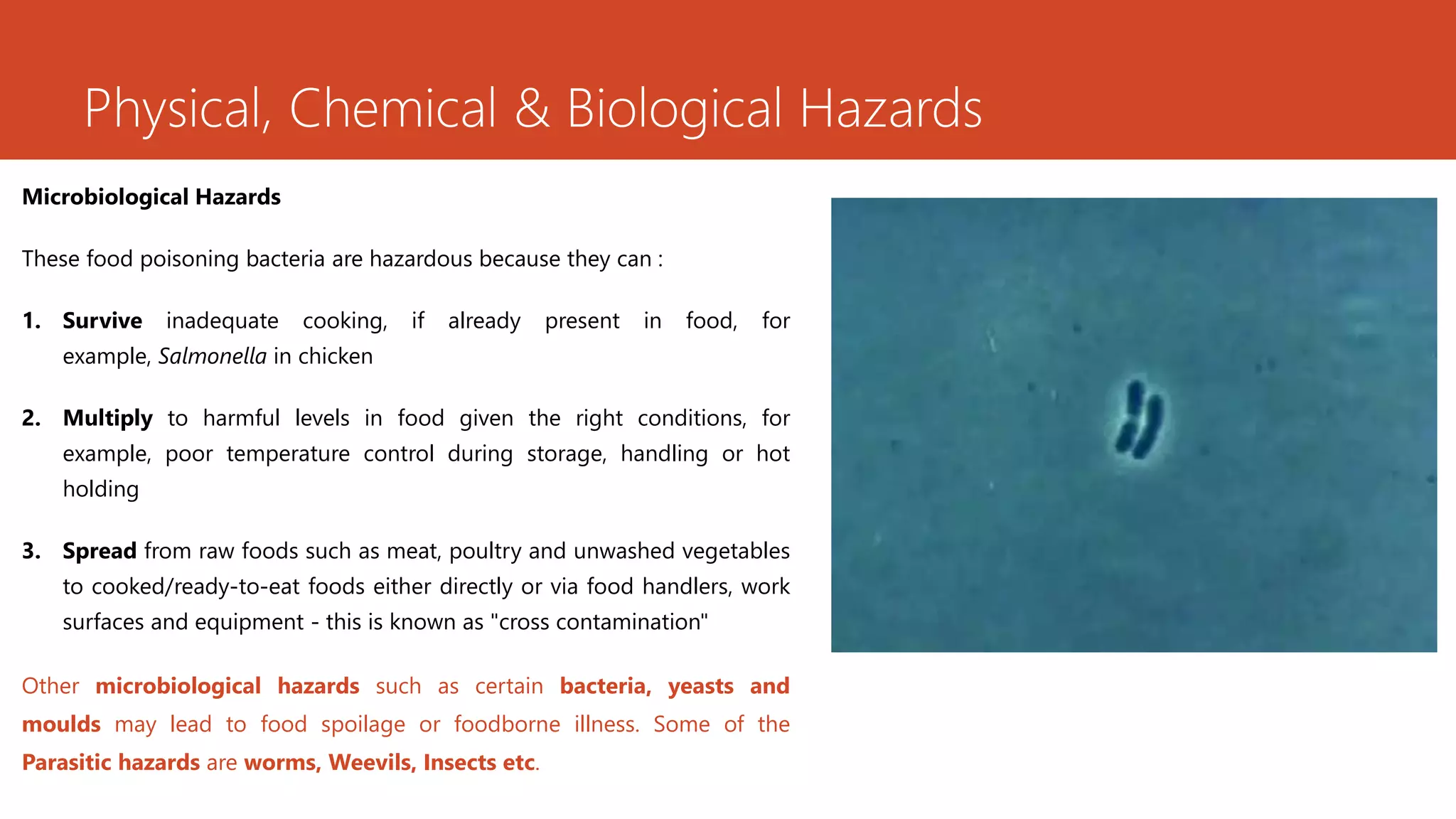 Food Safety Practices - Food hazards & control measures | PPTX