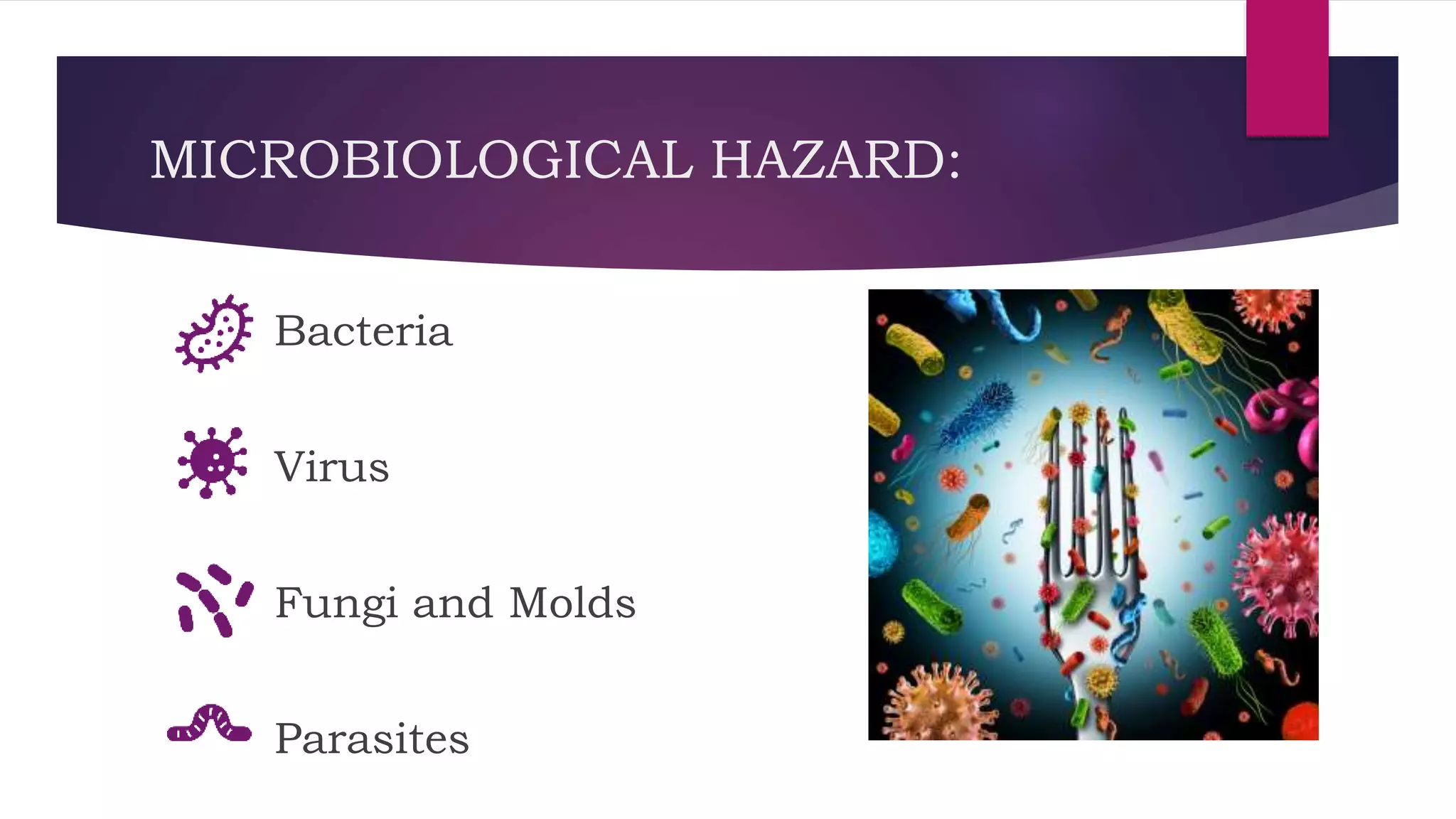Food safety (1) | PPTX