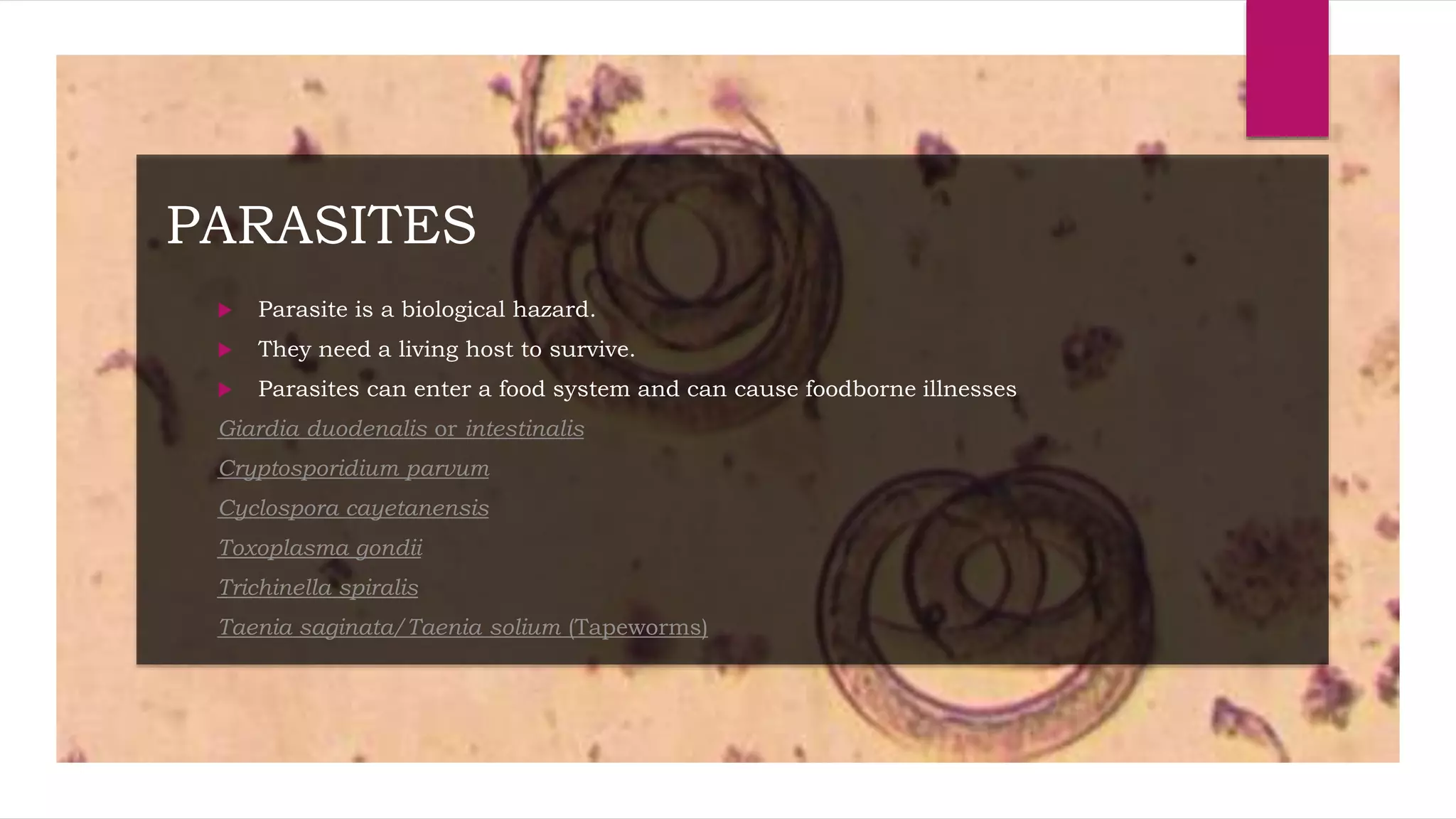 Food safety (1) | PPTX