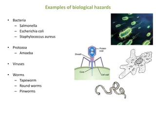 Food Safety and Hazards.pdf