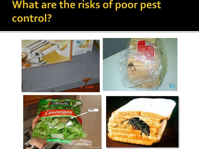 Food safety and hygiene | PPTX