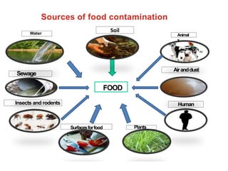 Food safety and hygiene , 1 | PPTX