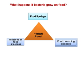 Food safety and hygiene , 1 | PPTX