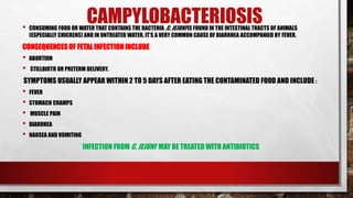 Food safety during pregnancy | PPTX