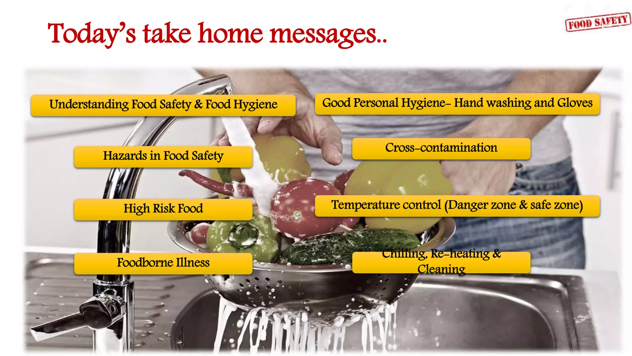 Food safety and hygiene (short intro) | PPTX