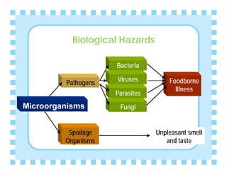Food safety and_sanitation_for_cacfp_slide_print | PDF