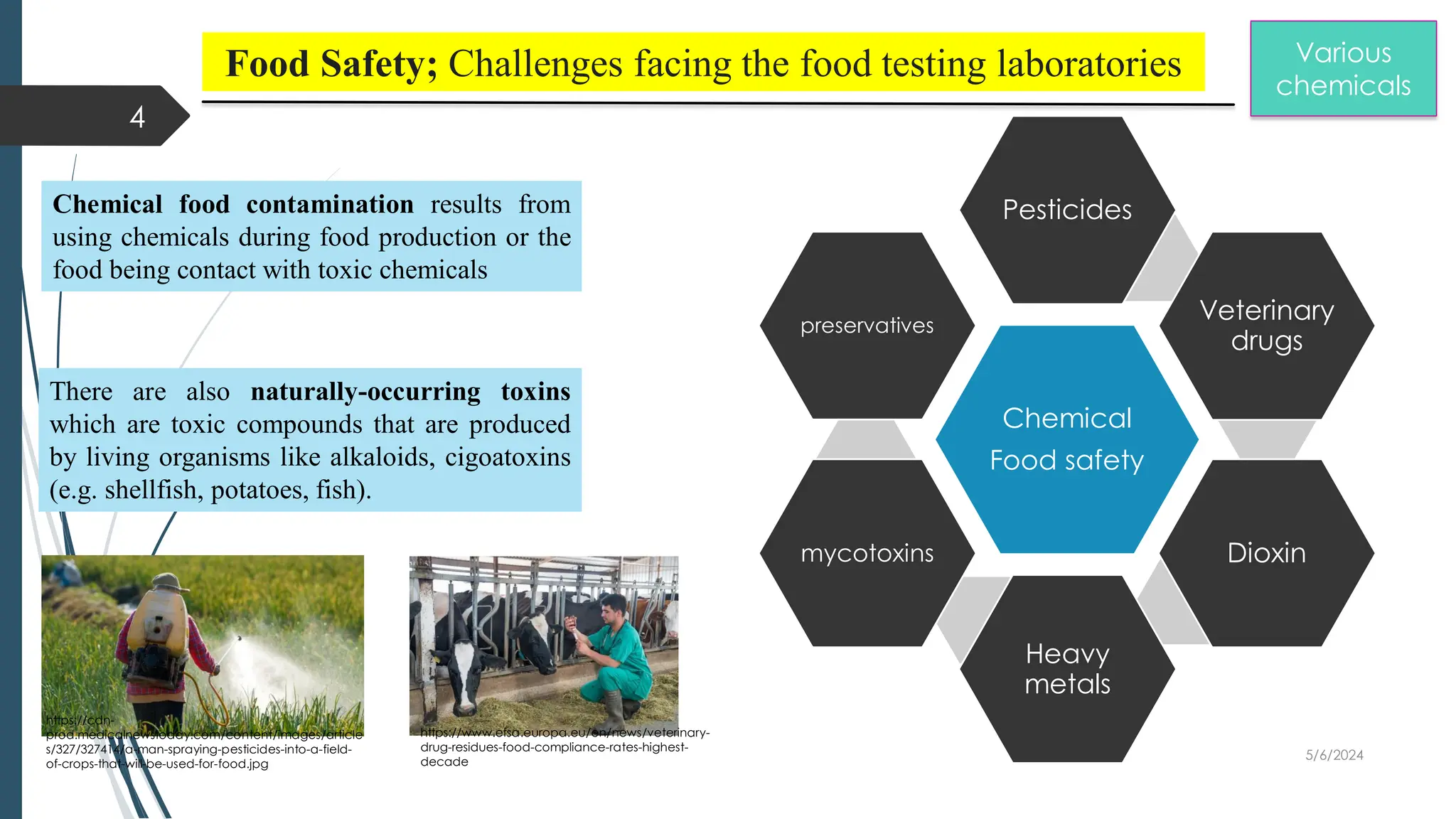 Food safety_Challenges food safety laboratories_.pdf