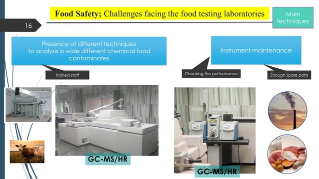 Food safety_Challenges food safety laboratories_.pdf