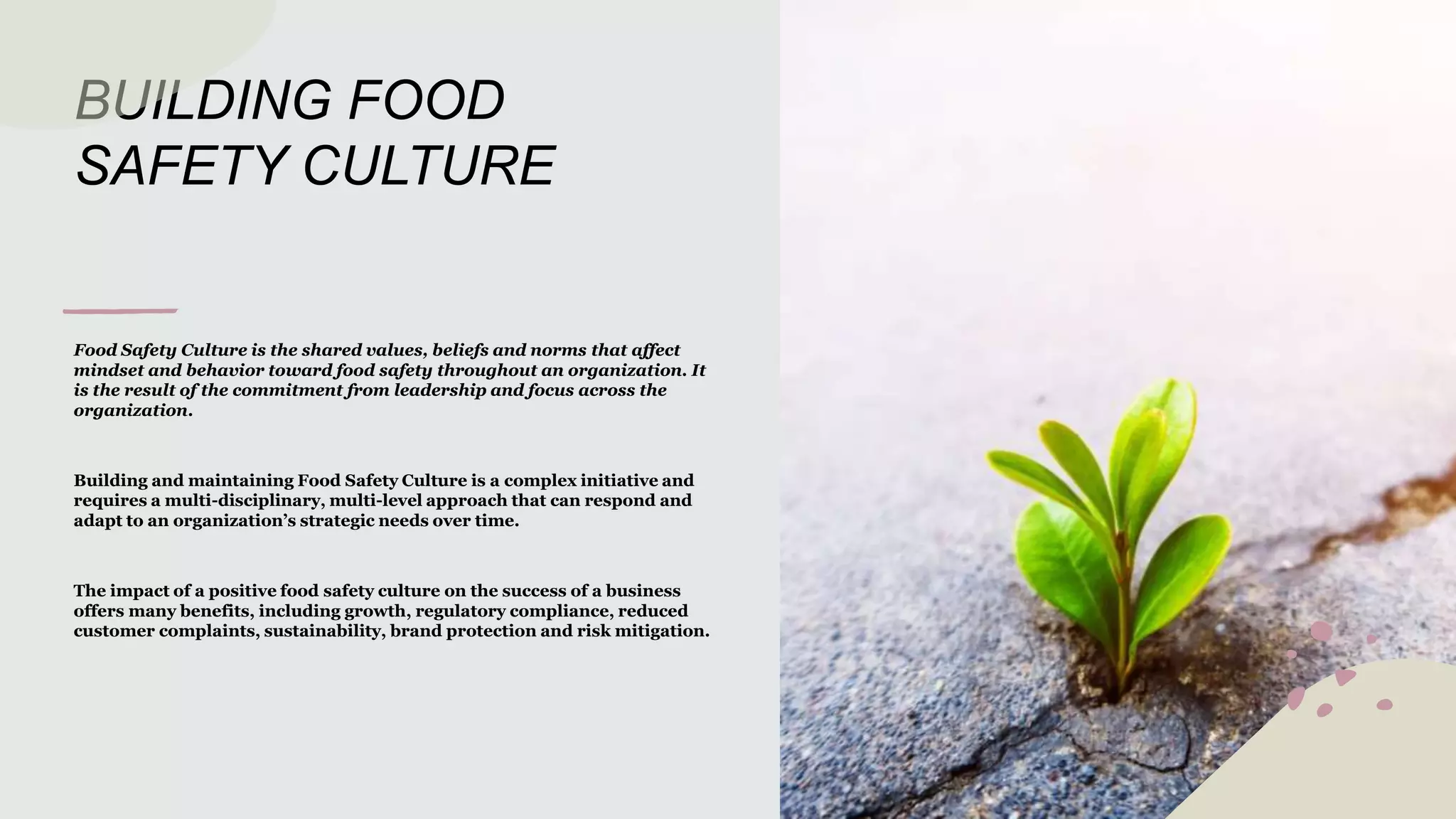 FOOD SAFETY CULTURE.pptx
