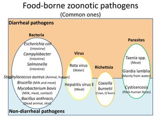 Food safety issues and scientific advances related to animal-source ...