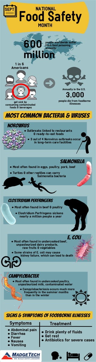 Food Safety Infographic | PDF