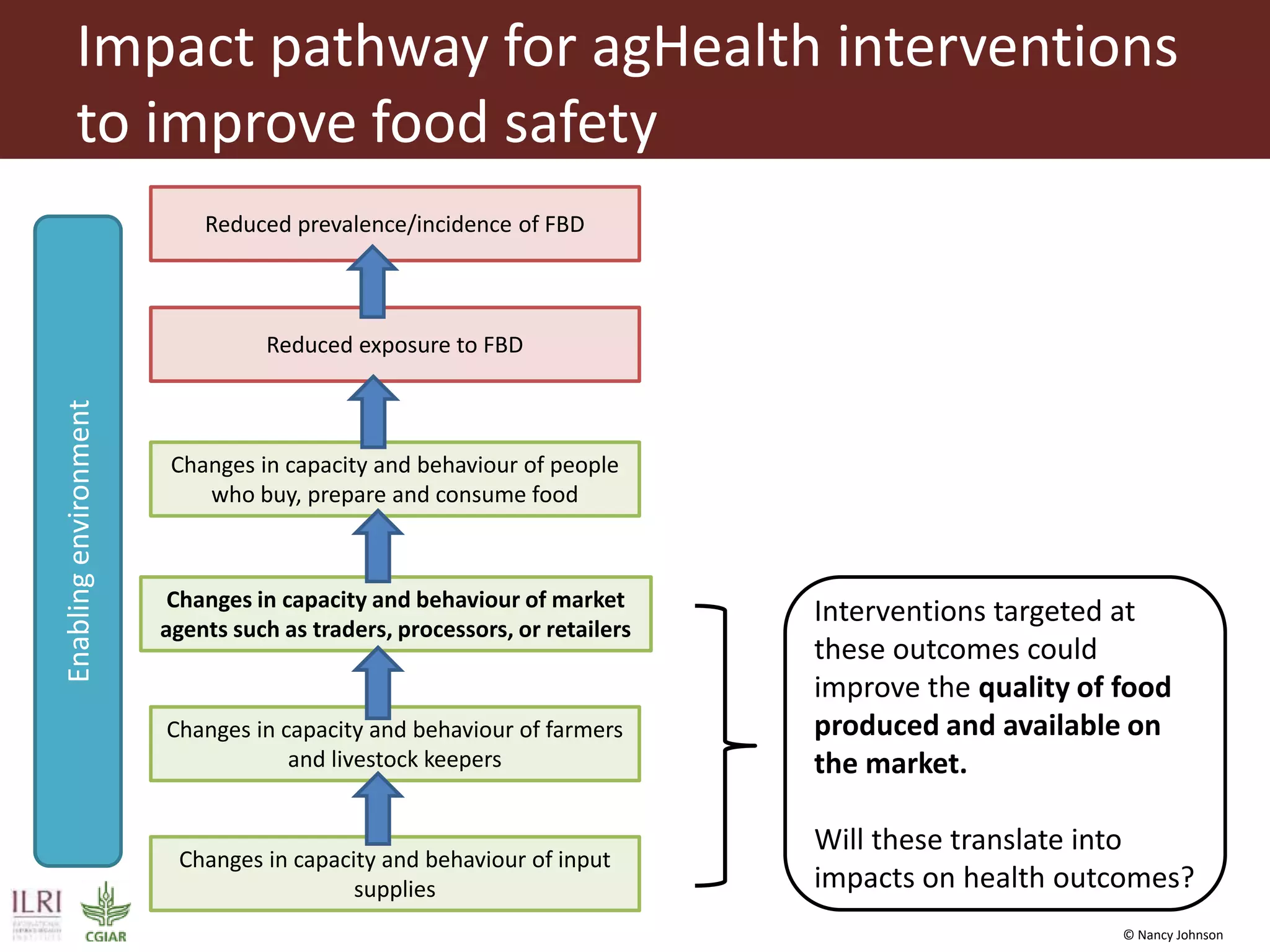 Food safety interventions: economic and health outcomes and impacts | PDF