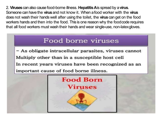 Food safety introduction | PPTX | Infectious Diseases | Diseases and ...