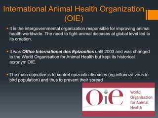 Food Safety Legislation | PPTX